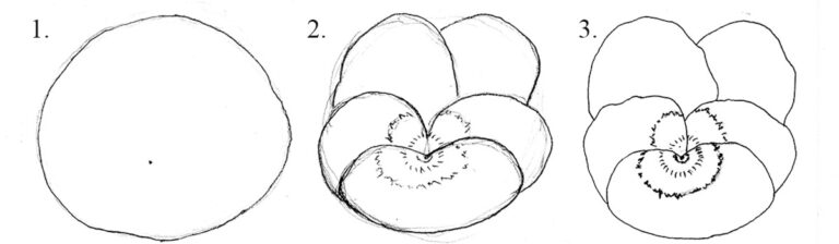 Rita blommor – steg för steg | Hur man gör | Vadskajagrita.se