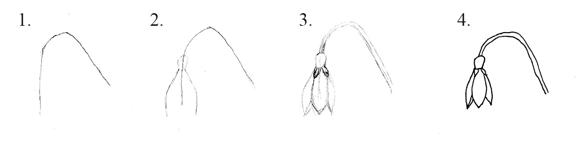 Rita blommor – steg för steg | Hur man gör | Vadskajagrita.se